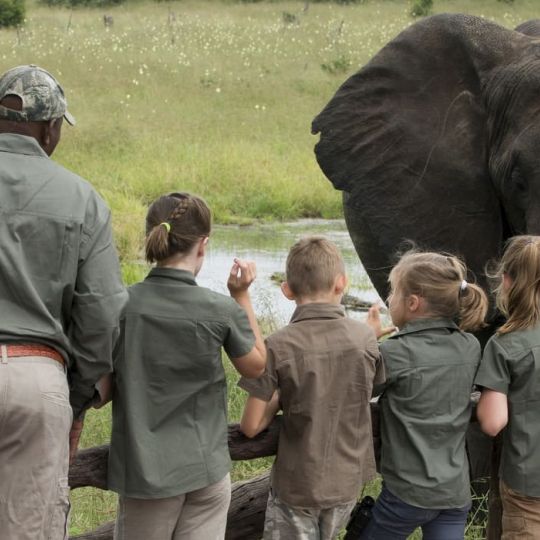 Somalisa Acacia Camp - Authentic Luxury: Luxury Travel and Authentic ...