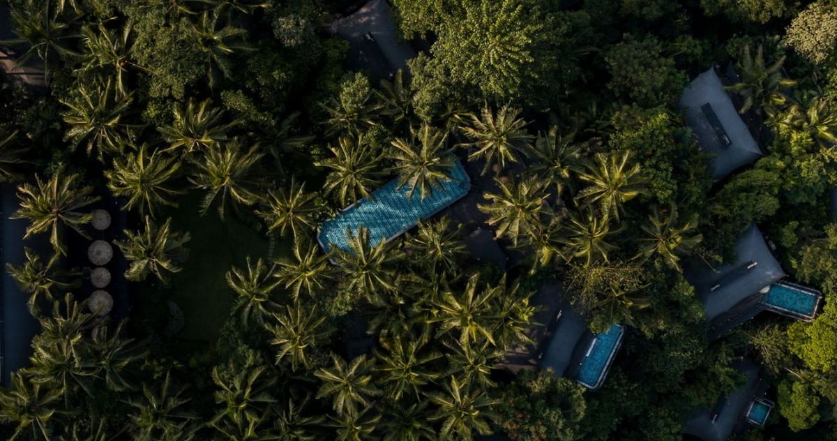 Capella Ubud - Authentic Luxury: Luxury Travel and Authentic Experiences