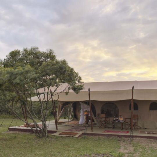 Saruni Wild - Authentic Luxury: Luxury Travel and Authentic Experiences