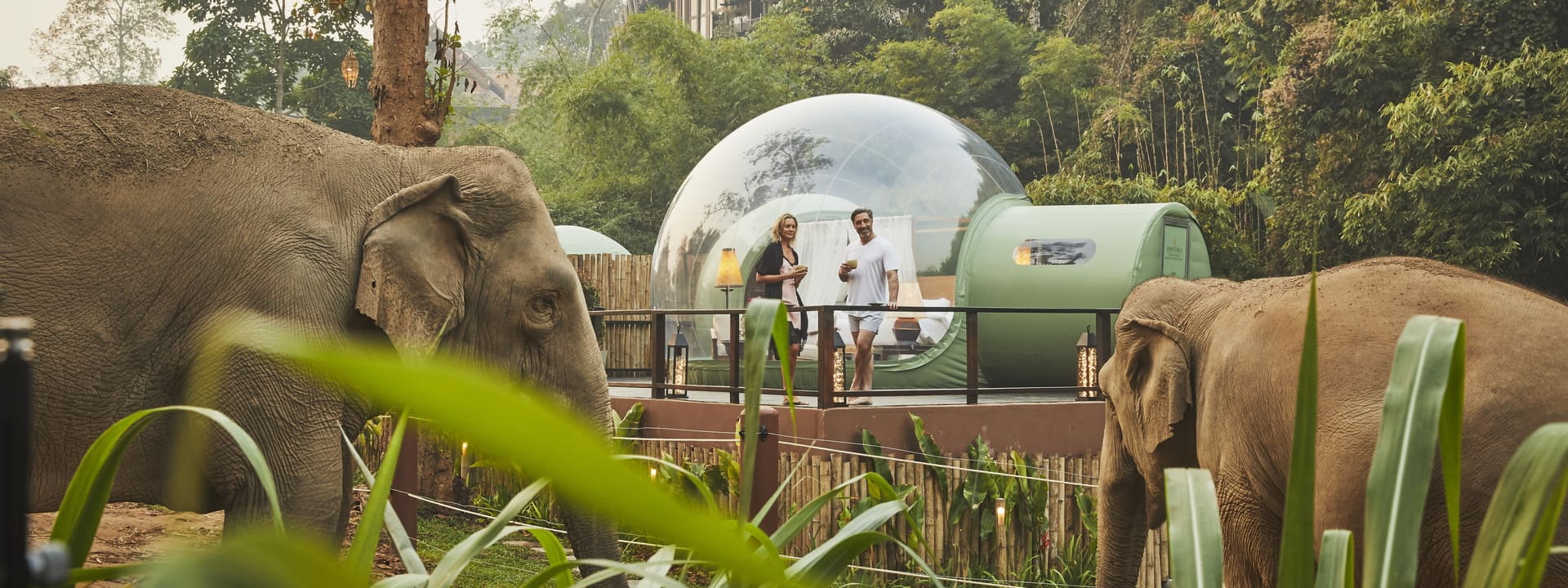 Anantara Golden Triangle Elephant Camp & Resort - Authentic Luxury ...