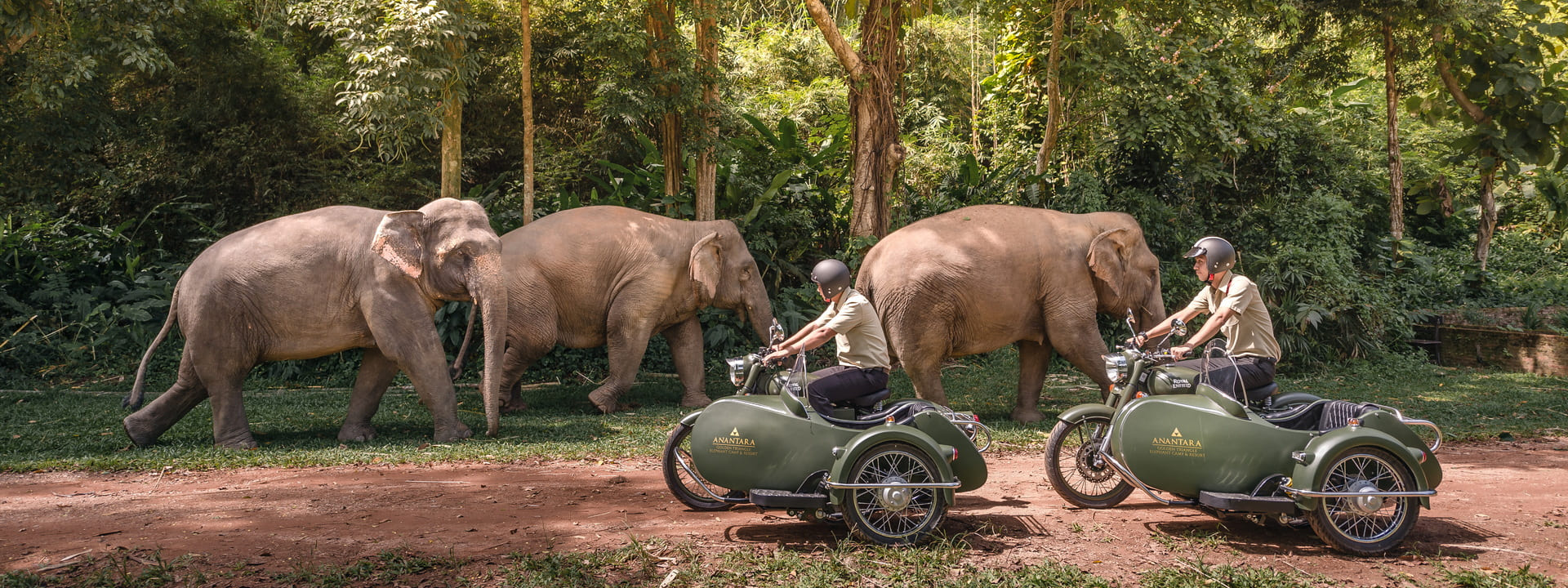 Anantara Golden Triangle Elephant Camp & Resort - Authentic Luxury ...